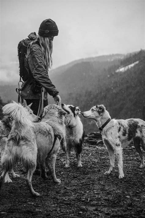 Pixieset Arletta Fussell