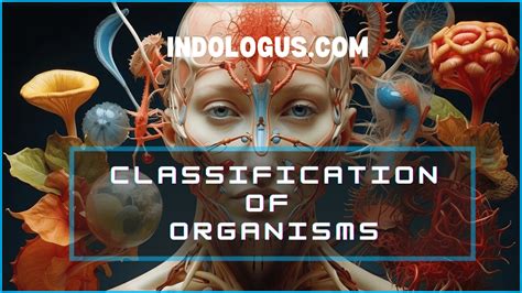 Classification Of Organisms