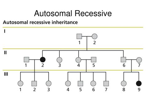 Ppt Pedigrees And Genetic Analysis Powerpoint Presentation Free