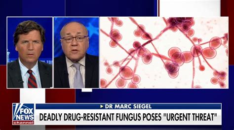 Potentially Deadly Drug Resistant Fungus Spreading Rapidly In Us Fox