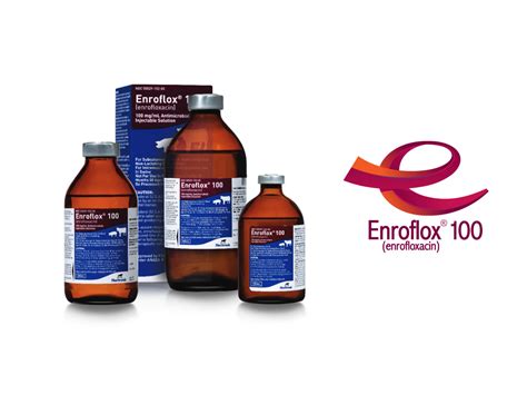 Enroflox® 100 Enrofloxacin Injectable Solution Norbrook