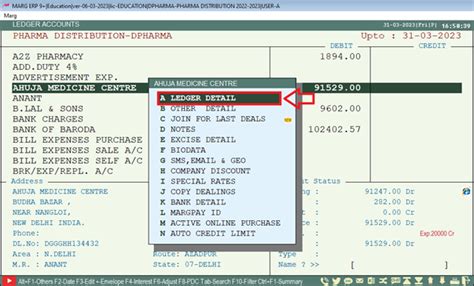How To Set Party Wise Delivery Man In Margerp 9