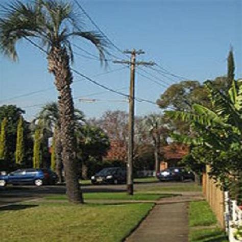 Postes Object Detection Model V3 2025 06 07 3 56pm By Will