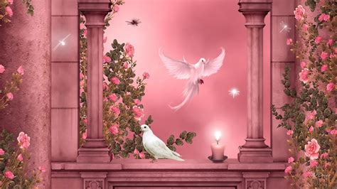 Pink Rose Dove Elegance Artistic Candlelit Columns Hd Wallpaper By