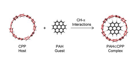 Semiconducting Host Guest Complexes Based On Cycloparaphenylenes And Polycyclic Aromatic