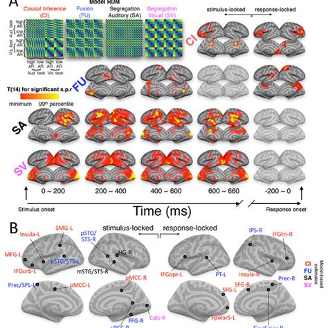 Spatio Temporal Evolution Of Multisensory Representations Temporal