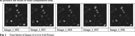 Figure 1 From Automatic Cell Tracking Of Microscopic Imaging Of Living Cells By A Novel