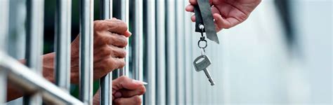 Early Conditional Release Detective 001