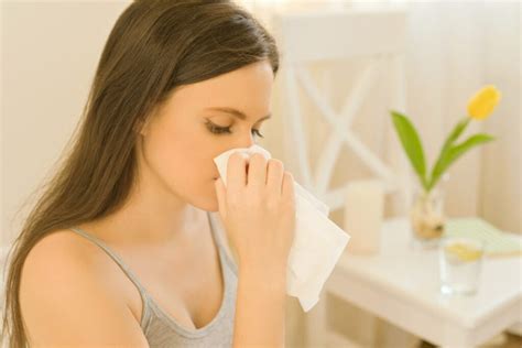 Allergies And Sinusitis Auckland What You Need To Know