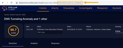 Examples Using The Api To Retrieve Case Observables
