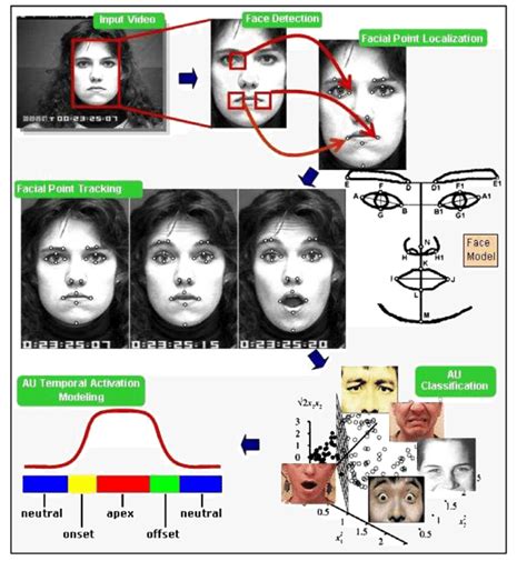 1 The Three Main Steps Involved In Face Detection Here Of Facial Download Scientific Diagram