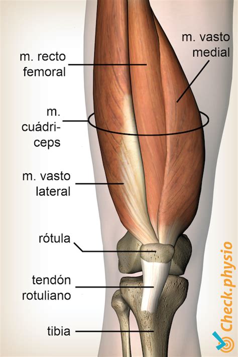 Síndrome Patelofemoral Physio Check