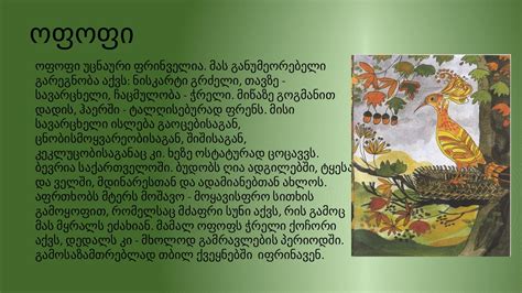 ოფოფი Calameo Downloader