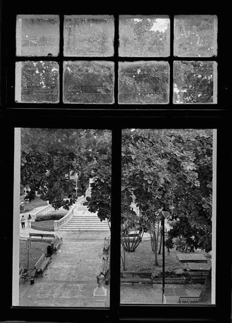 가로장 거리 건축 경치 경치가 좋은 계단 고요함 공원 구성 그림자 나무 나무 캐노피 도시 경관 도시 공원 무료 사진 미니멀리스트 백라이트 사진