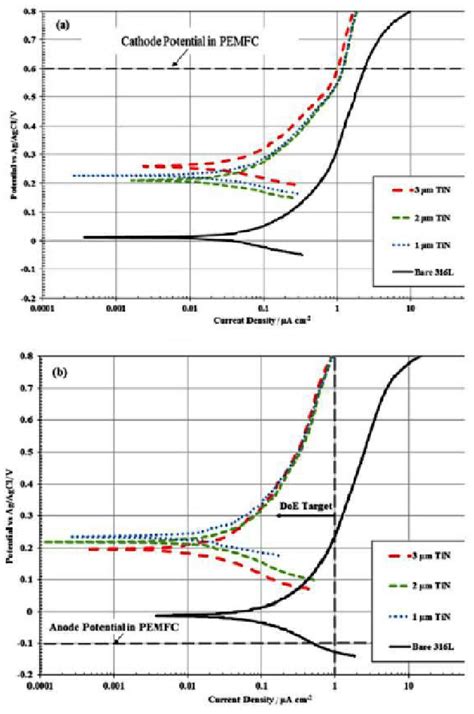 Potentiodynamic Polarization Curves For Uncoated And Tin Coated