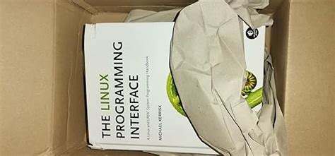 the linux programming interface a linux and unix system programming
