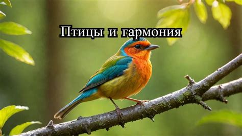 Пение лесных птиц поднимает настроения Youtube