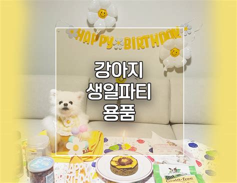 강아지 생일파티 용품 세트로 끝 가랜드 풍선 꼬깔 네이버 블로그