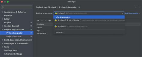 Python Turtle Screen Not Working Properly On New Mac Google Has Failed Me Stack Overflow