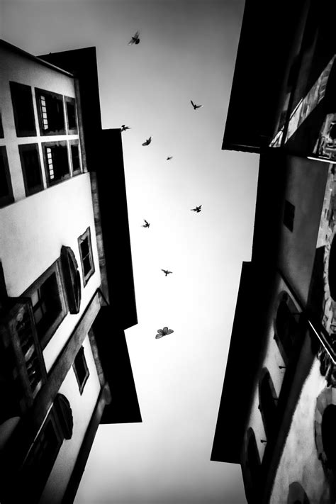 Josip Miskovic The Independent Photographer