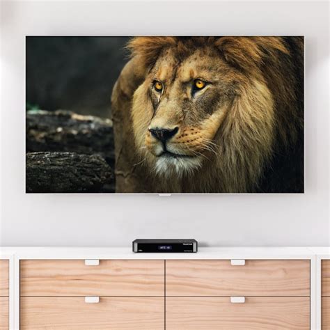 Telestar Teletwin Hd Preisvergleich Geizhals Österreich