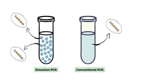 Emulsion Pcr Principle Procedure Advantages Limitations Uses Biology Notes Online
