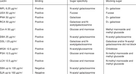 Results Of Lectin Binding Download Table