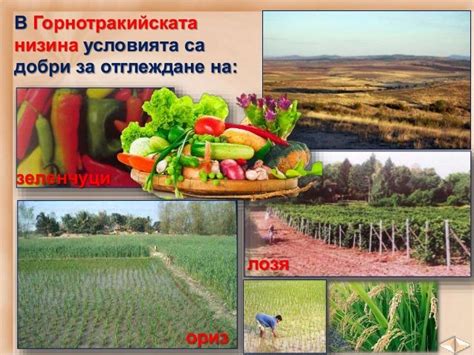 Трудова дейност на хората в България 1 ЧО 3 клас Булвест