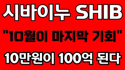 지금부터 시바이누 시작합니다무조건 집중하세요 Youtube