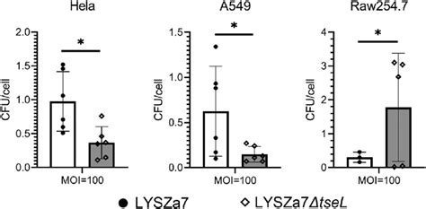 Invasion Assay Bacterial Internalization Assay Of P Aeruginosa Lysza7 Download Scientific
