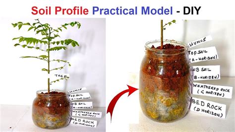 Soil Profile Working Model Practical Science Project Diy DIY Pandit In 2025 Soil
