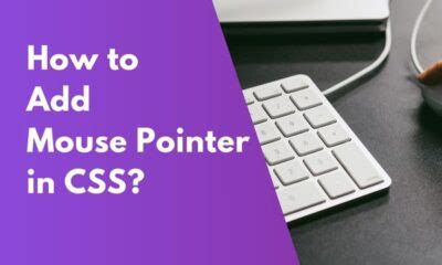 CSS How To Add Mouse Pointer Life In Coding