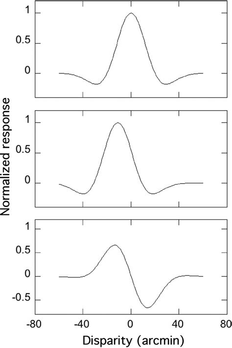 summary of performance skew for symmetric and asymmetric distributions