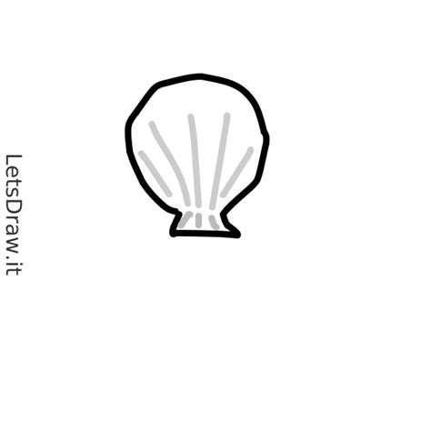 How To Draw Seashell Umhbhe Png LetsDrawIt