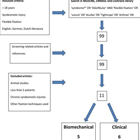 Flowchart Summarizing The Selection Of Relevant Articles Download