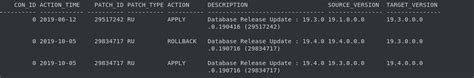 Deinstallation Release Update Patch On Oracle C Patch Oracledbwr