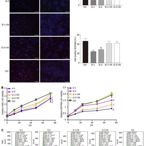 Functional Prediction Of Hsacircrna102610 By Bioinformatics Analysis Download Scientific