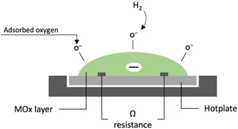 Mox Sensor Working Principle Where Oxygen Is Adsorbed Onto The Surface Download Scientific