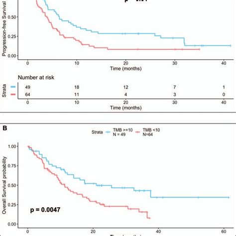 Outcome After Icb Stratified By Tmb 10 Mutationsmb Versus 10