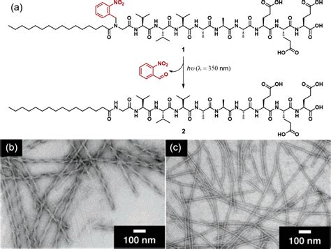 Phototriggered Supramolecular Assembly Acs Omega