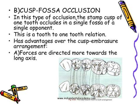 Occlusion Basics