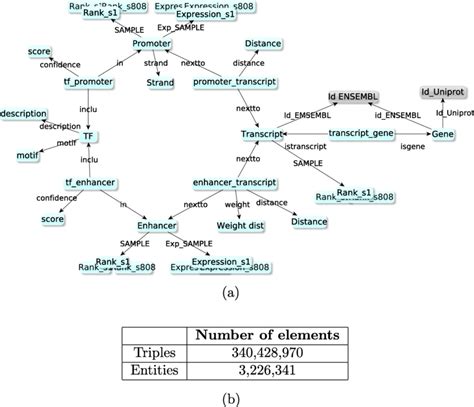 A Graphical Representation Of The Structure Of The Biological Data Download Scientific Diagram