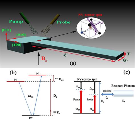 A Schematic Diagram Of The Hybrid Spin Microcantilever System In The