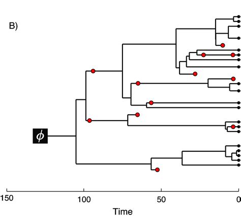 Revbayes Combined Evidence Analysis And The Fossilized Birth Death