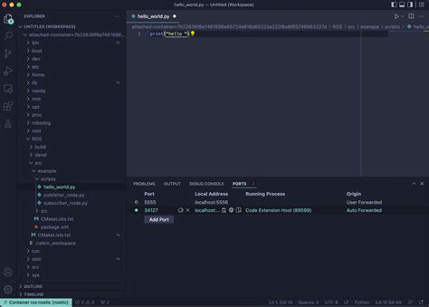 VSCode DevContainer Issue 360 Codota TabNine GitHub