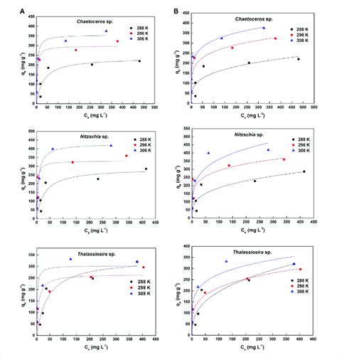 A Langmuir Isotherm And B Freundlich Isotherm Non Linear Fittings Download Scientific