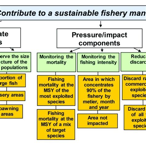Decision Tree Of Survey The NSFDSS Decision Tree Indicating The Download Scientific