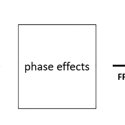 schematic example of a propagation step in the vectorial split step bpm
