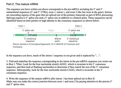 [get answer] texts part 2 the mature mrna the sequence you have written