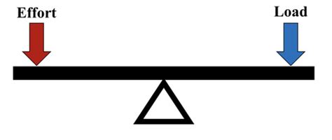 Lever Systems Flashcards Quizlet